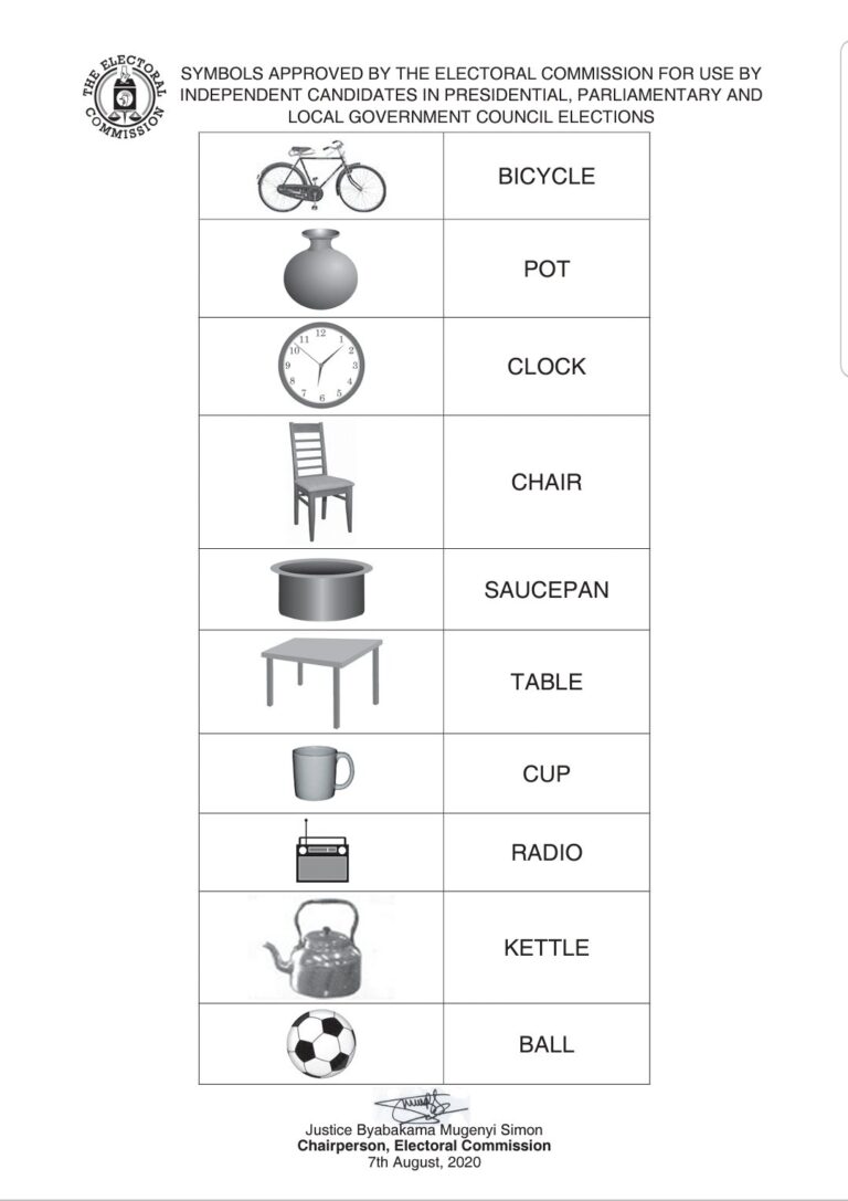 2021 Elections: Here Are 20 EC Approved Symbols For Independent ...