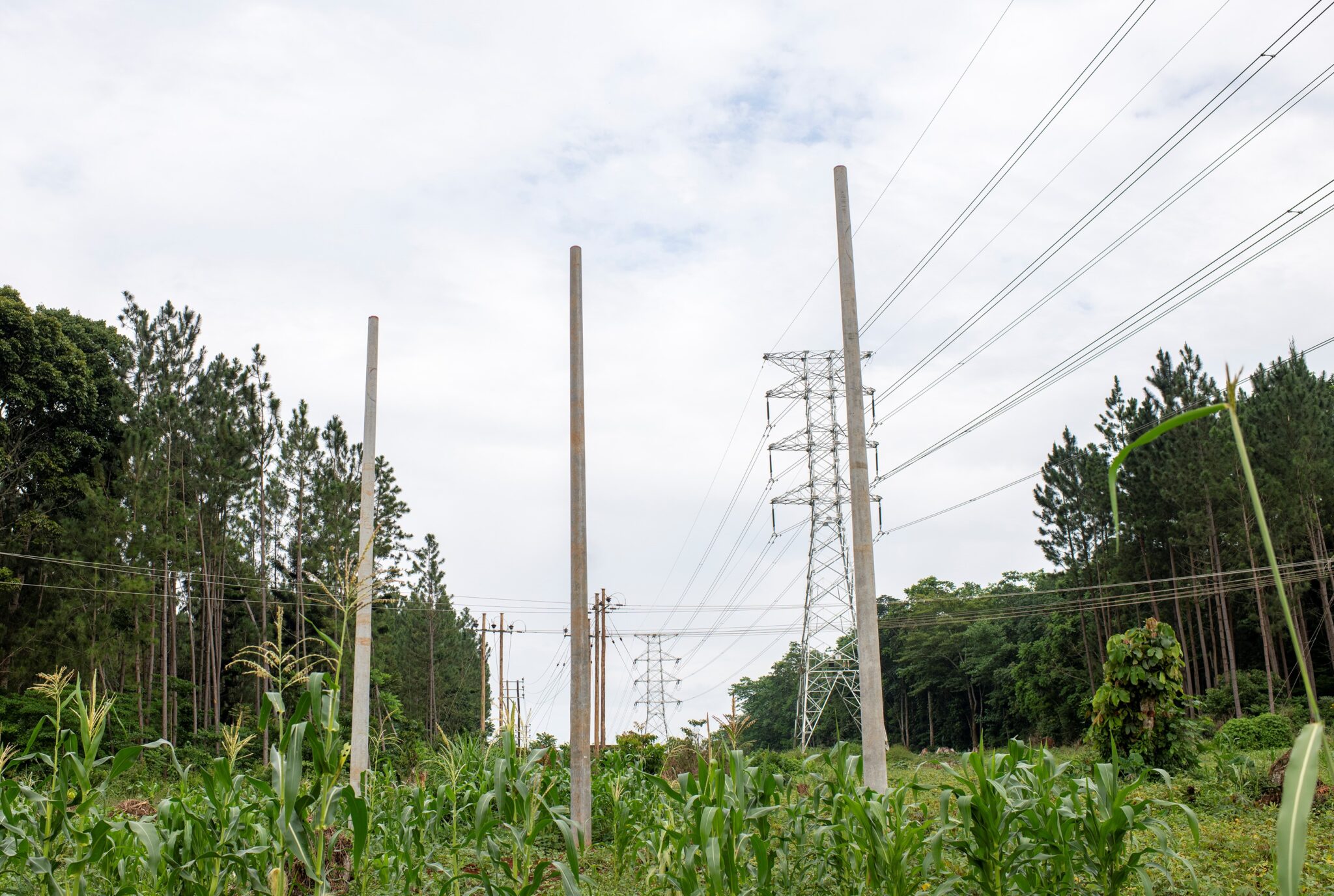 Energy Sector Players In High Gear To Improve Power Supply In Northern ...