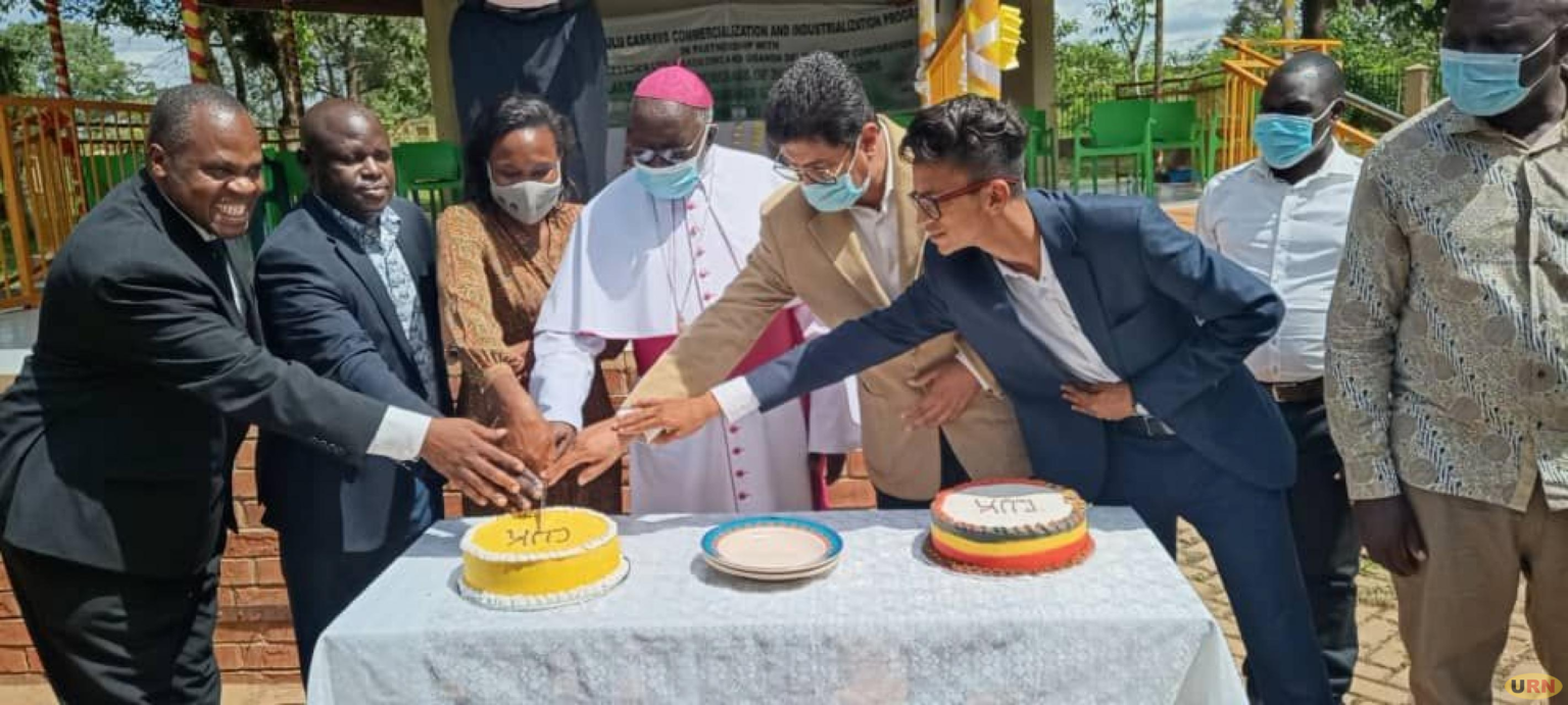 Gulu Archdiocese Takes Lead In Industrializing Cassava Growing In ...