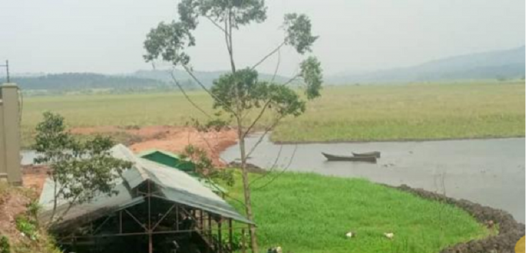 Private Developer Dumping Soil Into Entebbe Swamp Still Unknown-NEMA ...