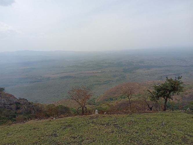 Mugamba Coffee: Inside The 320-Acre Agritourism Farm Touching Lives of ...