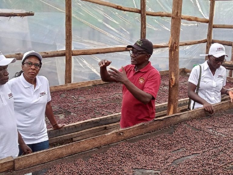 Mugamba Coffee: Inside The 320-Acre Agritourism Farm Touching Lives of ...