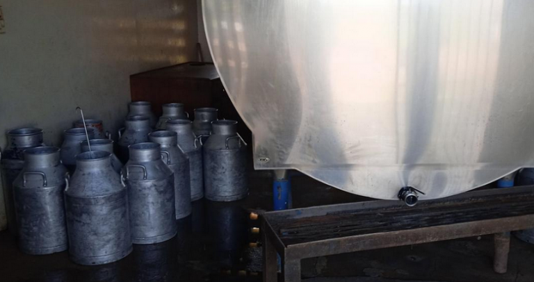 Five Cooperatives Get Shs 2.5 Billion Dairy Processing Equipment ...