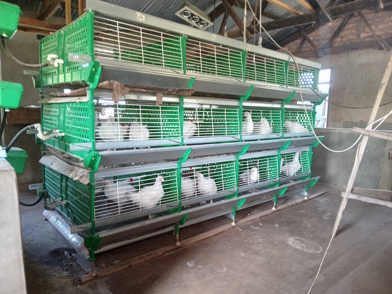 Smart Farming: Here’s How You Can Earn Millions Monthly From An Acre Of ...