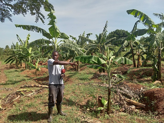 Smart Farming: Here’s How You Can Earn Millions Monthly From An Acre Of ...