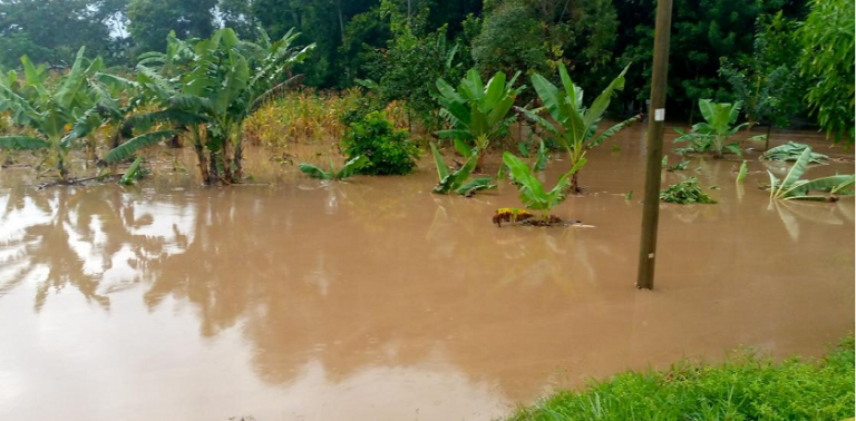 Mbale Floods Destroy Over 80 Homes, 5000 Acres Of Crops » Business Focus