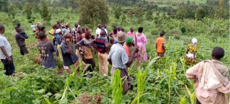 5,000 Mubende Residents Living In Fear Over Impending Eviction As ...