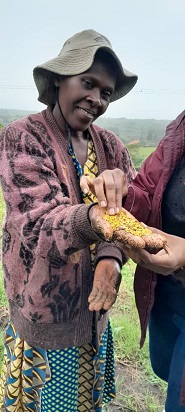 Dairy Farmers To Benefit From Lato Milk’s Initiative To Increase Milk ...