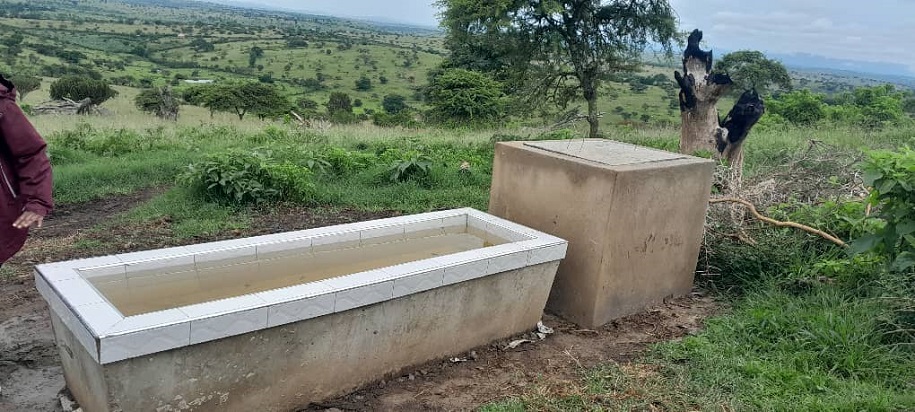 Dairy Farmers To Benefit From Lato Milk’s Initiative To Increase Milk ...