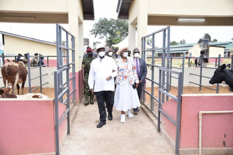 Education Sector: NRM Performance In Fulfilling Its Manifesto ...