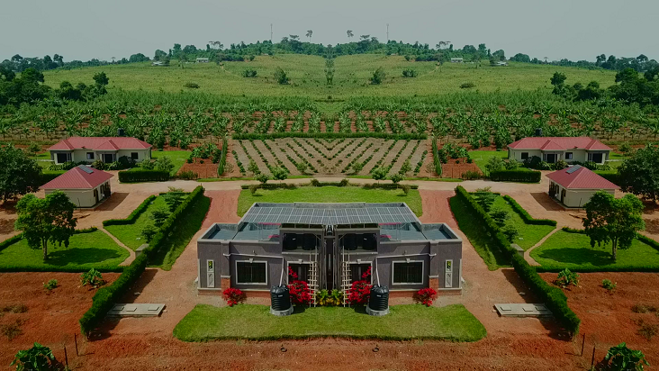 Bunjako Island’s 300-Acre Coffee Farm Provides Abundant Lessons For ...