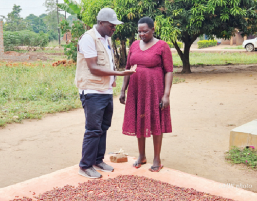 How Lillian Ogwang Is Championing Coffee Production In Lira » Business ...