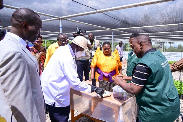Nabbanja’s Farm in Kakumiro Demonstrates 4-Acre Model Success With ...